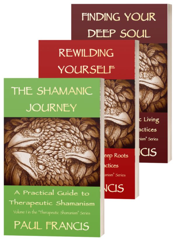 Shamanism Books • Therapeutic Shamanism Series