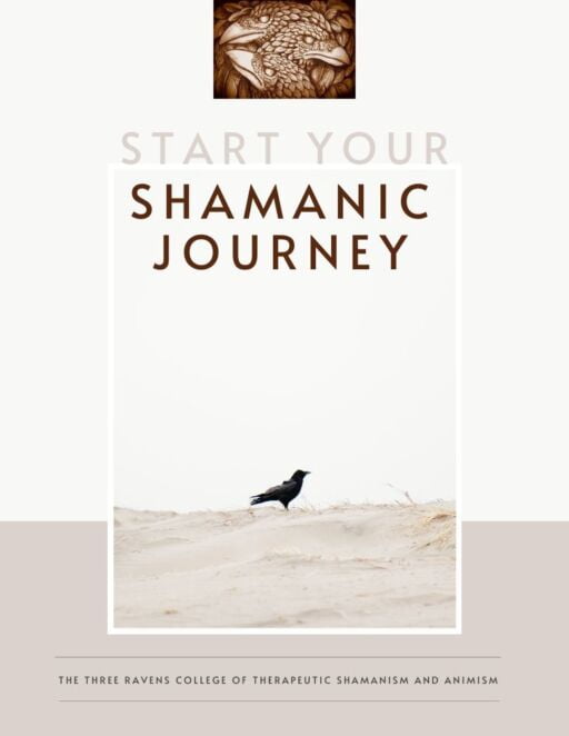 Learn Shamanism Online • Introductory course - First Steps