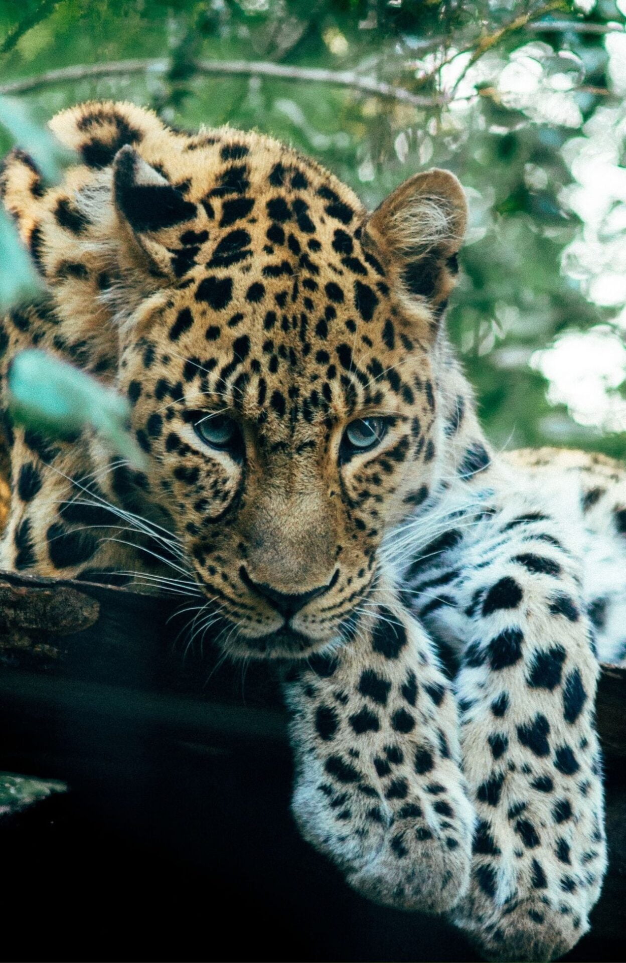 Free e-book: Exploring the Lower-World