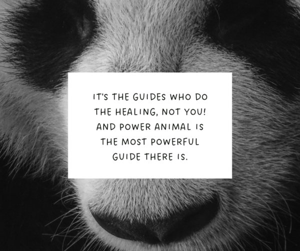 Spirit Animals, Animal Guides and the Power Animal in Shamanism