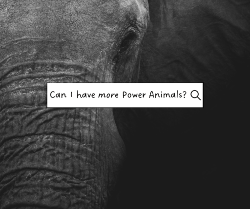 WORKING WITH ANIMALS: Finding and retrieving your Power Animal